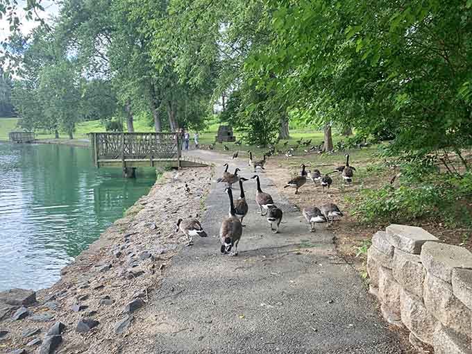 Even the geese know Bynum Run Park is the place to be for waterside relaxation and community.