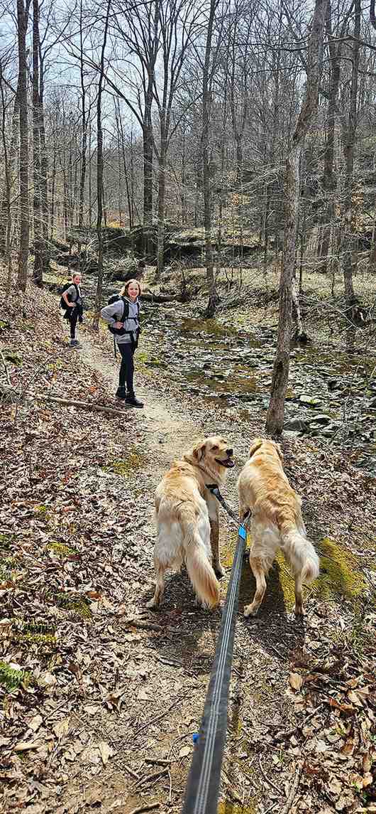 Even the dogs know this trail beats another lap around the subdivision, and they're excellent judges of adventure.