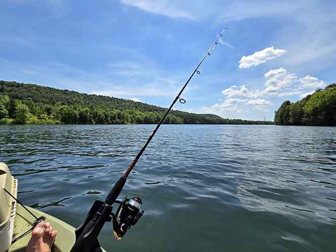 When the fish are biting this well, you start questioning your career choices back in the city.