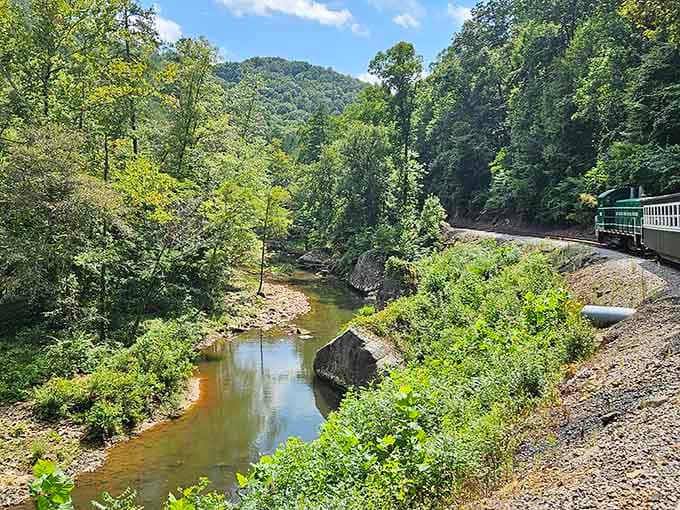 The train follows creeks and valleys that make you wonder why anyone bothers with highways when routes like this exist.