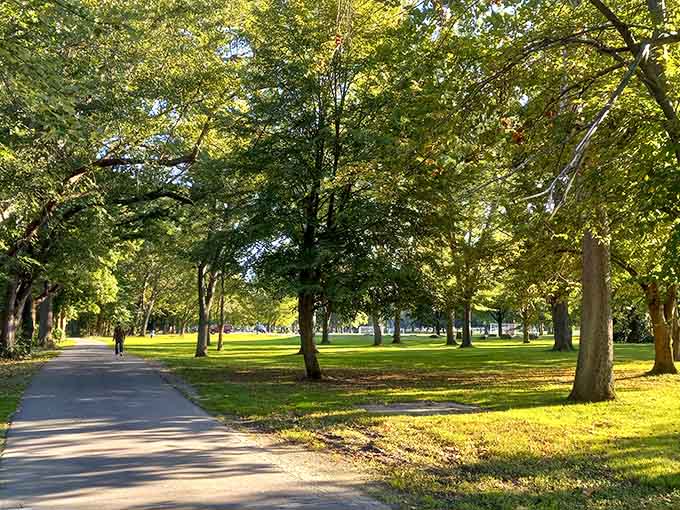 Golden hour transforms this tree-lined path into the kind of peaceful escape your doctor keeps recommending.