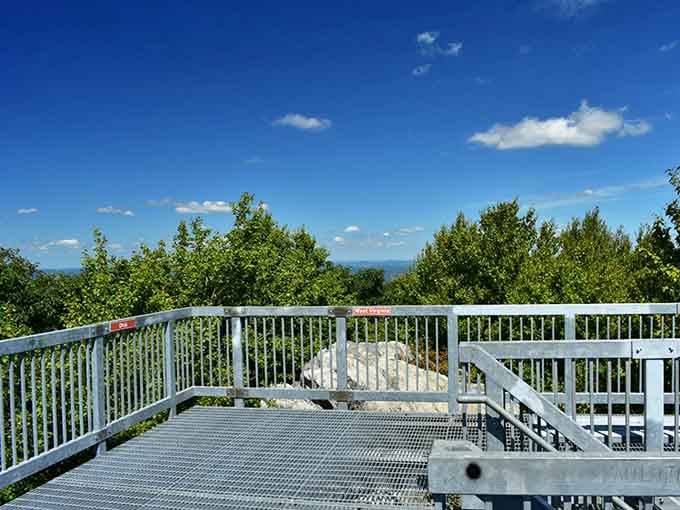 The observation deck stretches wide enough for everyone to claim their own slice of panoramic perfection.