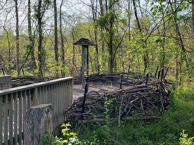 Nature's architecture on display: this stick structure looks like something from a Tim Burton film, but better.