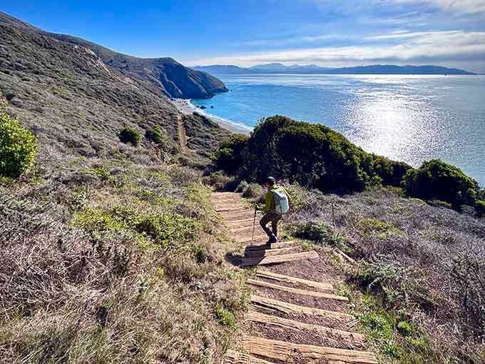 The trail winds through windswept vegetation like a path Robert Frost would've taken, had he visited California.