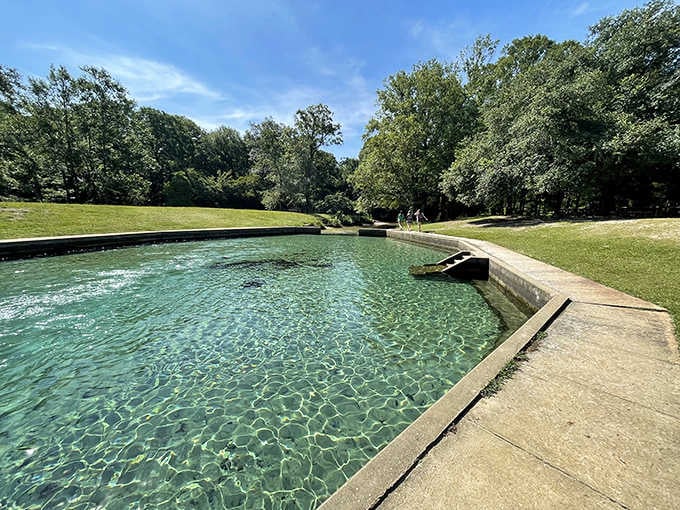 Water so clear you can count the grains of sand below, nature's infinity pool without the pretentious poolside service.