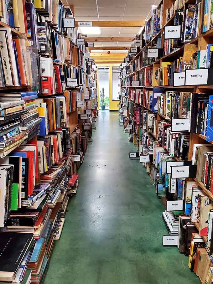 Every category labeled and waiting, like a literary buffet where calories don't count and second helpings are encouraged.