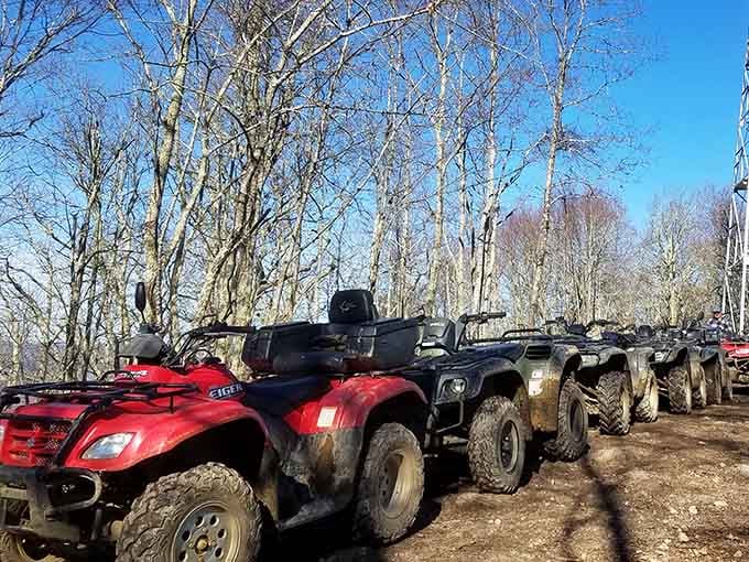 ATVs lined up and ready for adventure, because sometimes getting dirty is the cleanest fun available.