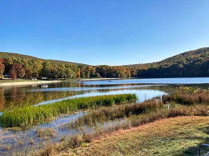Nature's mirror reflects autumn's glory perfectly, creating a scene so peaceful you'll forget your phone exists for a while.