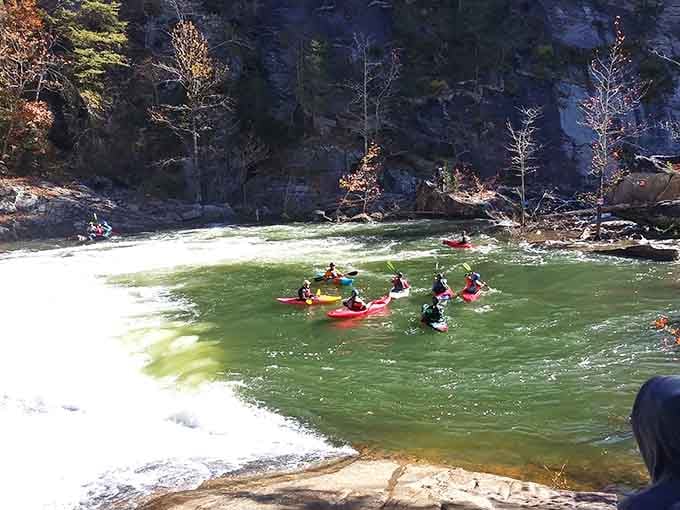 Even kayakers can't resist the call of Tallulah Gorge, where adventure meets scenery in perfect harmony.