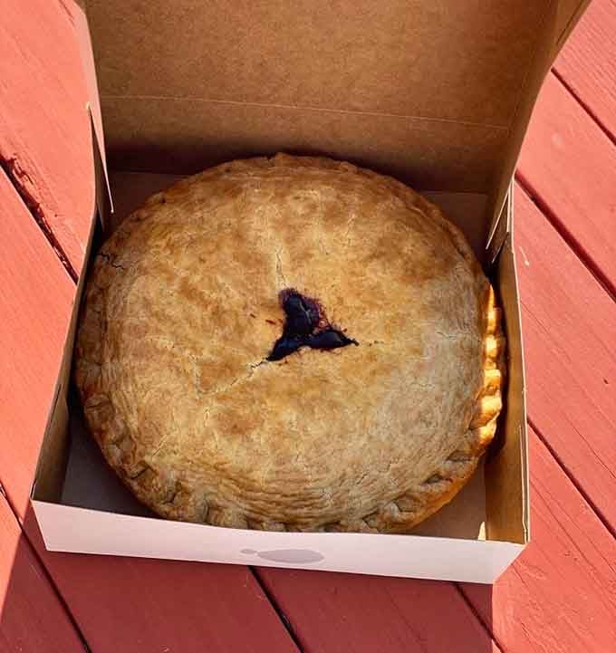 That gorgeous golden-brown crust and perfectly placed vent tell you everything you need to know about what's coming.