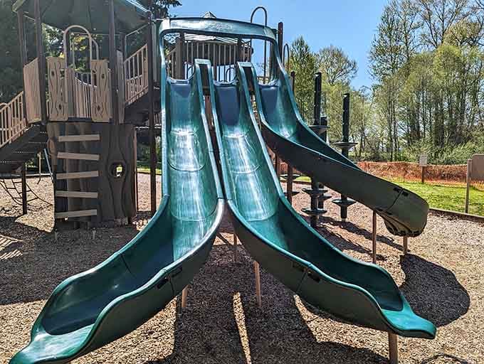 Pioneer Park offers slides that have entertained multiple generations without needing a software update or WiFi connection.
