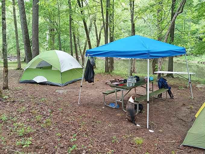 When your office view includes a canopy of trees, you're doing camping absolutely right.