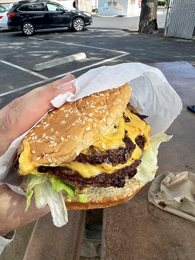 That sesame seed bun cradles two patties and enough melted cheese to make your cardiologist schedule an intervention.