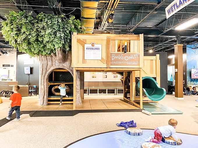 The play area where kids can climb through a treehouse while parents contemplate building one in their own backyard.