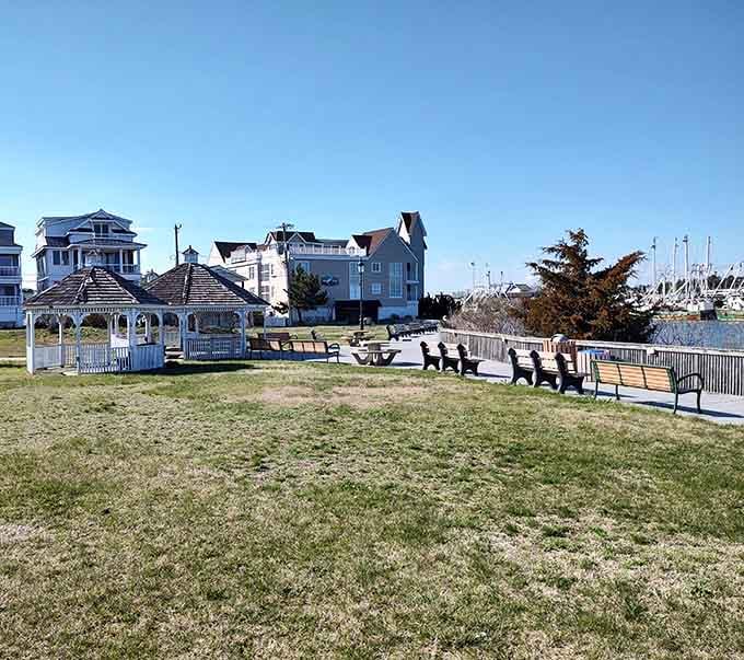 Adirondack chairs facing the marina, silently judging anyone who chooses to stay inside on beautiful days.