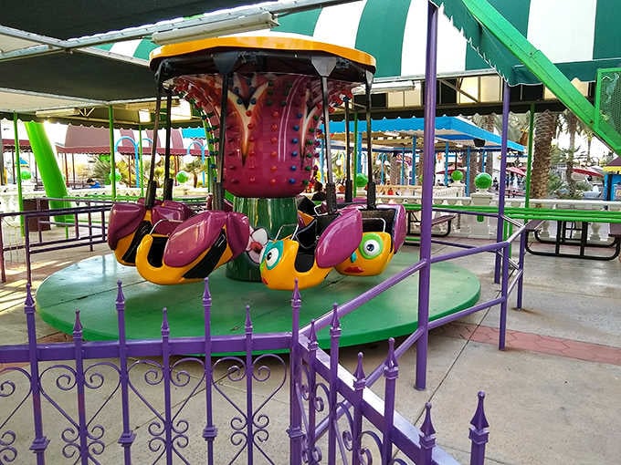These cheerful bugs spin you silly while keeping your feet close enough to earth to maintain your dignity.