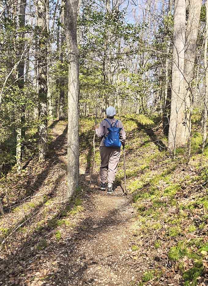 Gentle slopes and well-marked paths make this the Goldilocks of hiking: not too hard, just right.