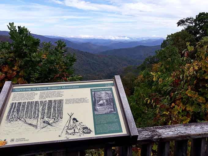 Educational markers remind us that these mountains have stories older than our grandparents' best tales, and twice as interesting.