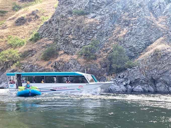 Jet boats and rafts navigating the Snake River, where adventure meets those dramatic basalt cliffs you've been admiring.
