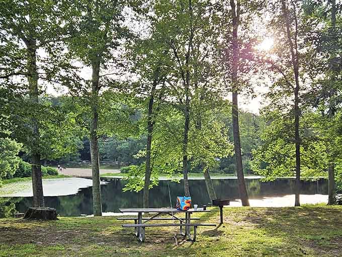 Day Pond State Park provides the kind of waterside tranquility that makes you forget your phone exists, briefly.