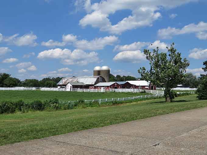 Even working farms along the route add to the pastoral charm that makes this drive unforgettable.