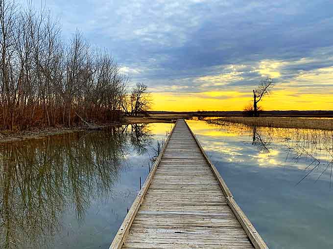 This boardwalk stretches into the wetlands like a golden ticket to your own private nature documentary.