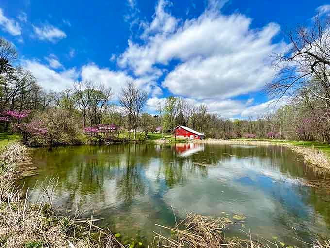 That red barn reflected in still water captures everything peaceful about Indiana you forgot existed in modern life.