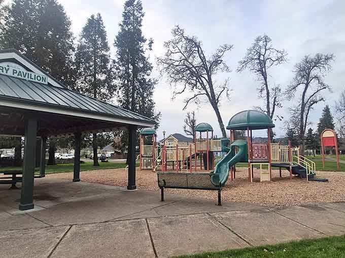 Coiner Park offers playground equipment and picnic shelters where grandkids can run wild while you actually relax for once.