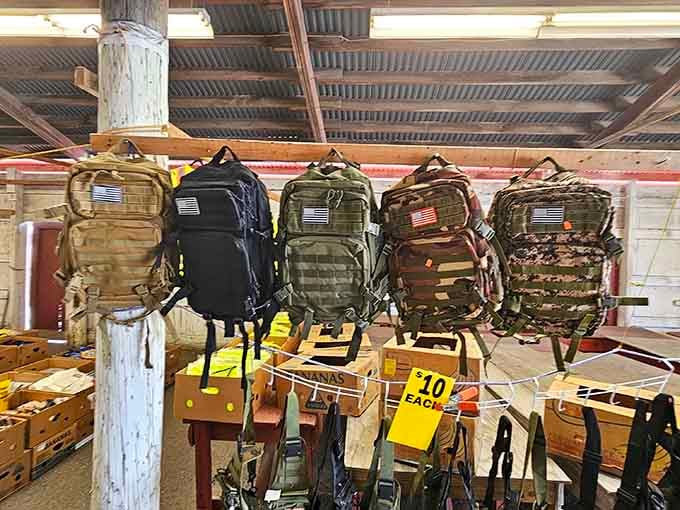 Tactical backpacks ready for adventures ranging from hiking trails to surviving your next family reunion with style.