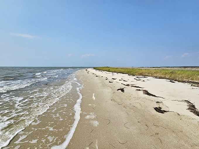 Miles of untouched shoreline where the only footprints you'll see might be your own and possibly a confused seagull's.