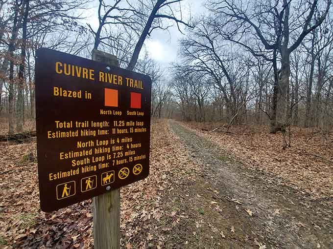 Trail markers guide your adventure with the precision of a GPS, minus the annoying recalculating voice.