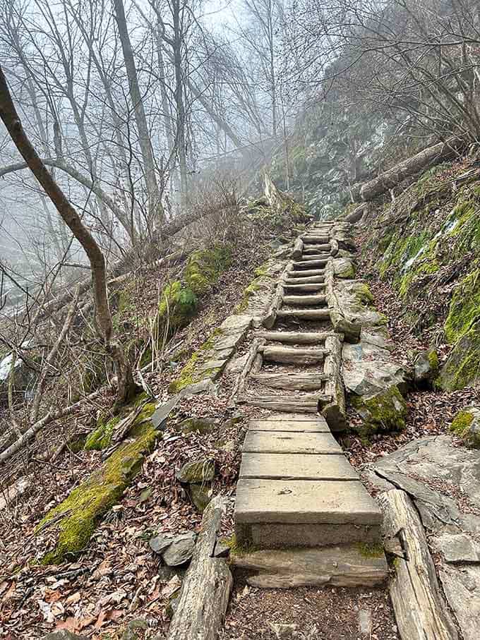 These rustic steps have seen more footsteps than a dance studio, each one leading adventurers closer to cascading beauty.