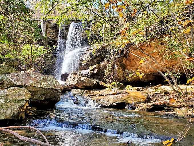Smaller cascades dot the landscape like nature's bonus features, proving the park has more than one trick up its sleeve.