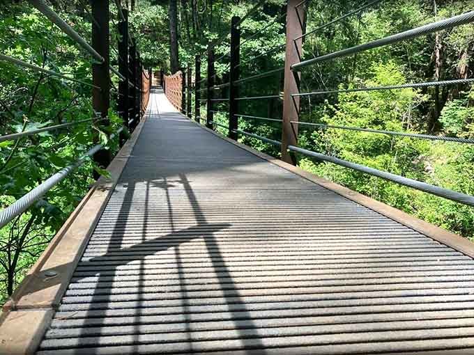 The bridge's ribbed decking catches afternoon light perfectly, creating shadows that'd make any Instagram filter jealous beyond repair.