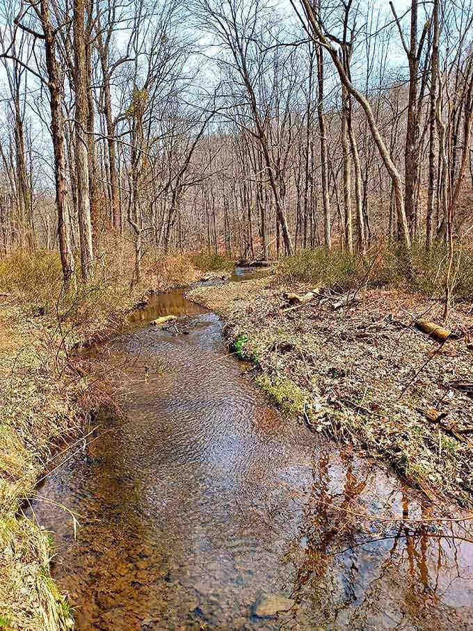 Even abandoned villages need their babbling brooks, because nature doesn't take days off from being picturesque.