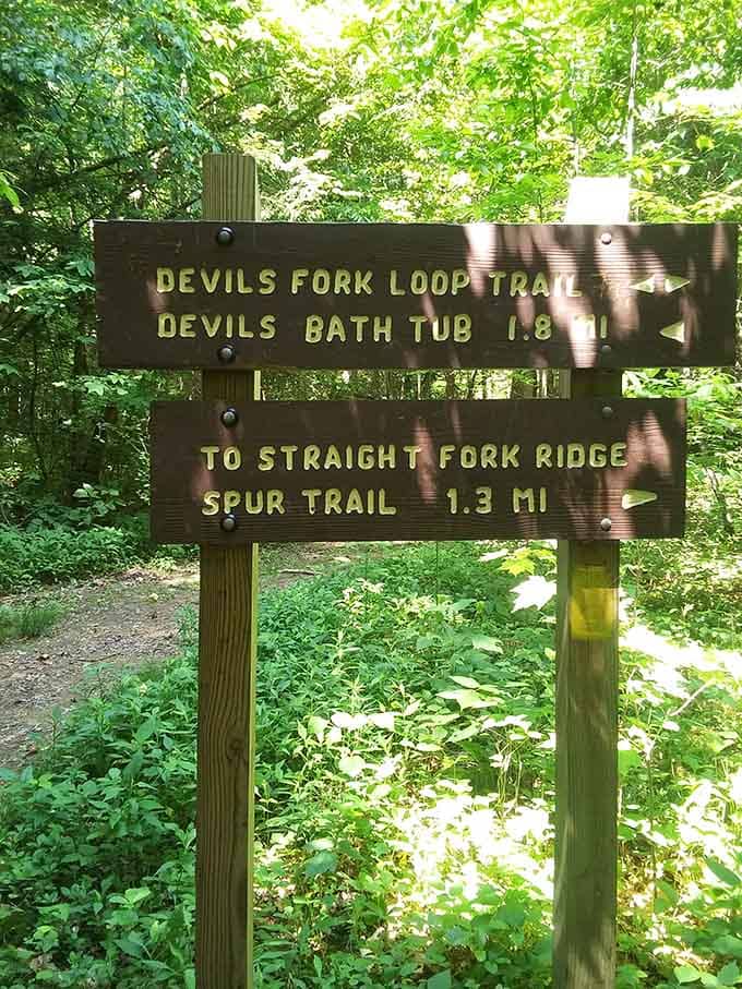 Follow the signs through Jefferson National Forest, because getting slightly lost is half the adventure of finding paradise.