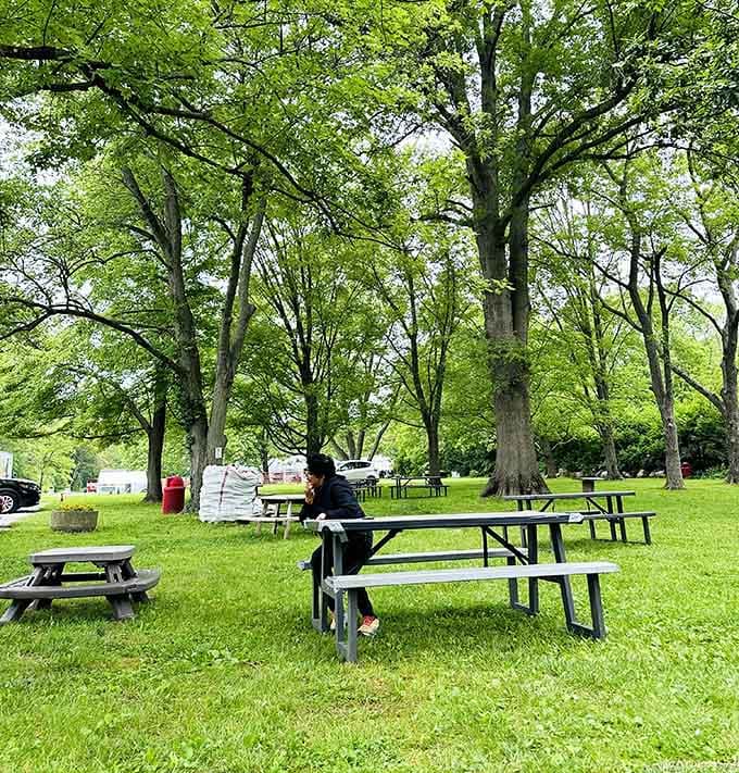 Picnic tables under towering trees where you can rest after your berry-picking workout and victory.