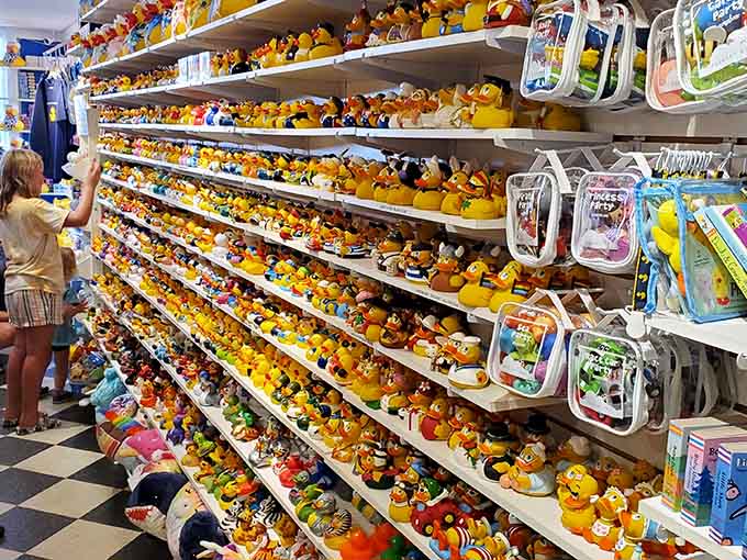 Even young shoppers get overwhelmed by the sheer magnitude of choices, standing transfixed before walls of waterfowl possibilities.