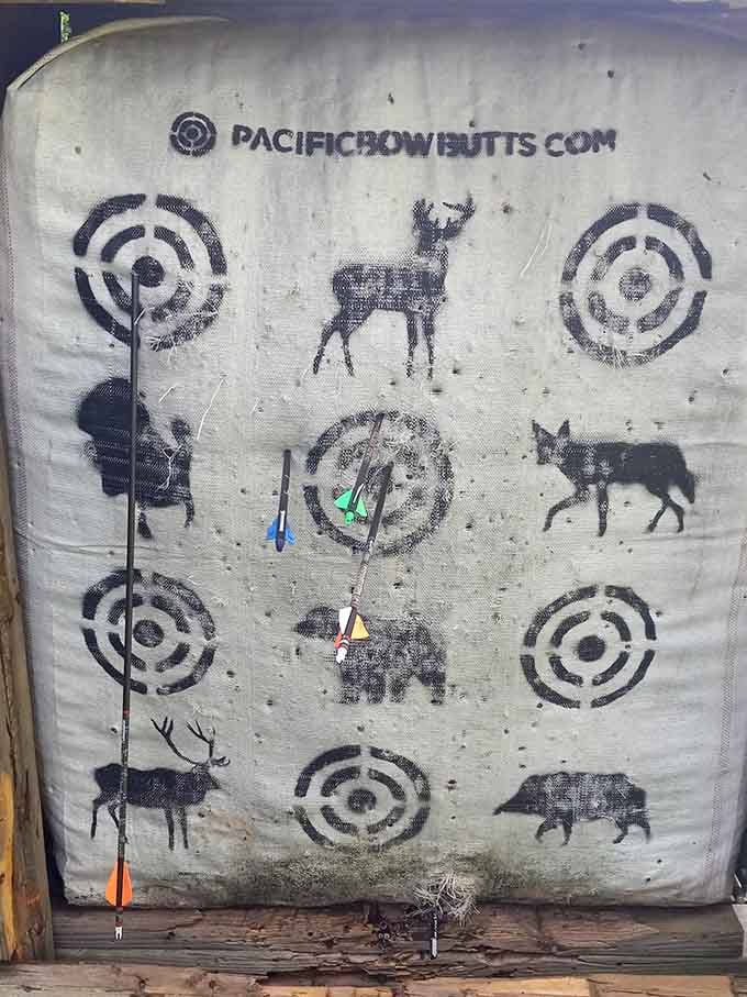 Target practice stations featuring wildlife silhouettes, because shooting at cartoon deer feels less guilty than the real thing.