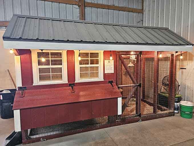 Even the chickens get luxury accommodations here, complete with their own charming cottage-style coop.