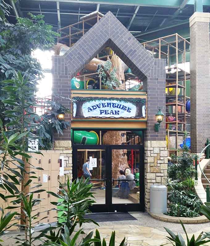 Adventure Peak's entrance beckons like a portal to childhood, where the only requirement is a willingness to climb.