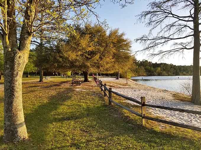 Golden autumn light filters through Jones Lake State Park, where sandy beaches meet tranquil waters far from ocean crowds.