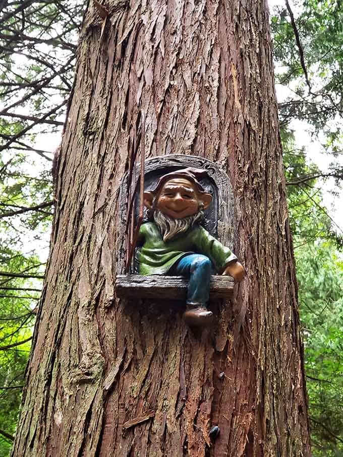 This cheerful fellow has claimed his perch on the tree trunk, looking quite pleased with his forest real estate.
