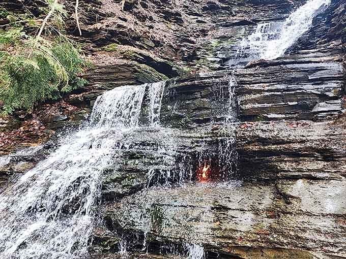 That tiny flame has more staying power than most New Year's resolutions, defying physics with every flicker and glow.