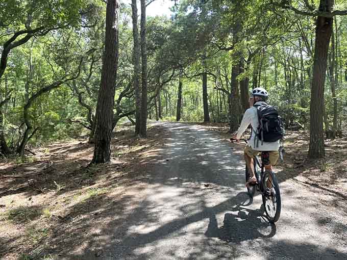 Biking through maritime forest where the only traffic jam involves deciding which beautiful trail to take.
