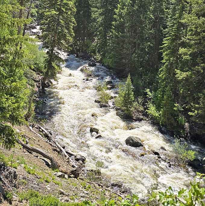 Fish Creek doesn't just flow&mdash;it charges downstream like it's late for an important appointment with the valley.