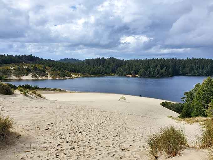 Sand dunes meet freshwater lake in this surreal landscape that looks like Oregon couldn't decide between beach and desert.