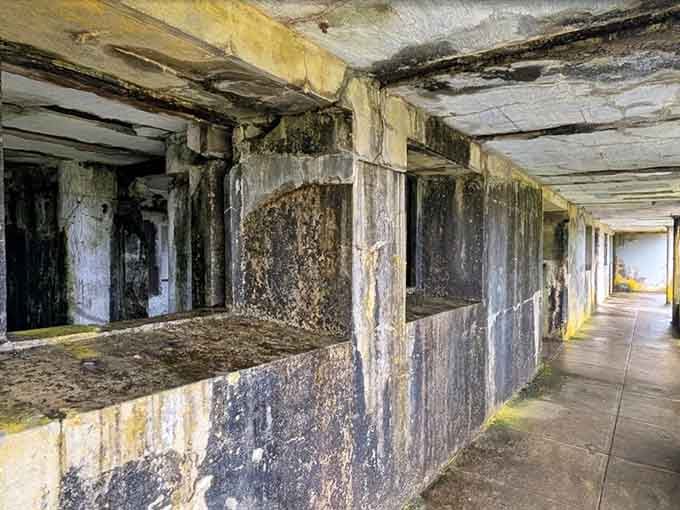 Inside the battery where soldiers once stood guard, now hosting only echoes, rust stains, and the occasional confused spider.