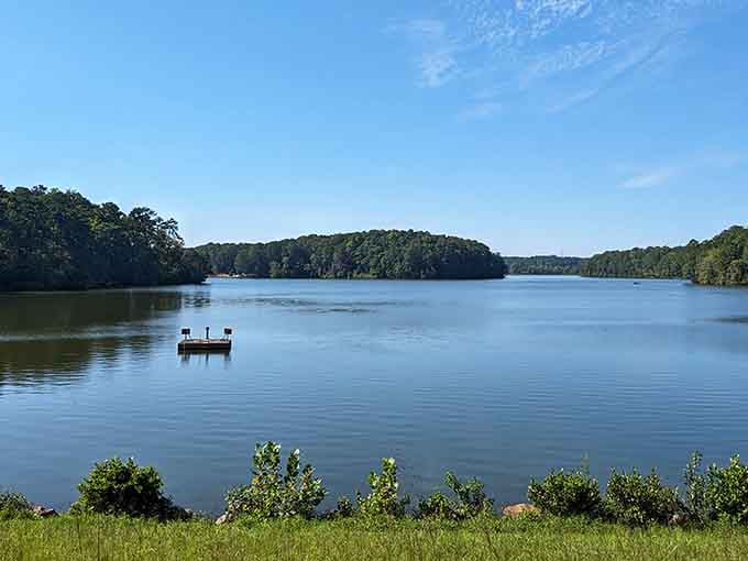 A floating dock on calm waters: the perfect spot for contemplating life's important questions, like lunch.