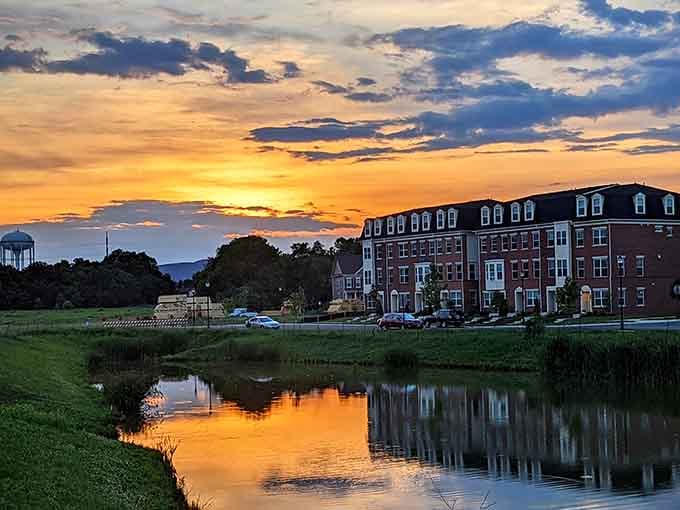 Sunset over Frederick's waterways turns an ordinary evening into something worth putting down your phone to witness.